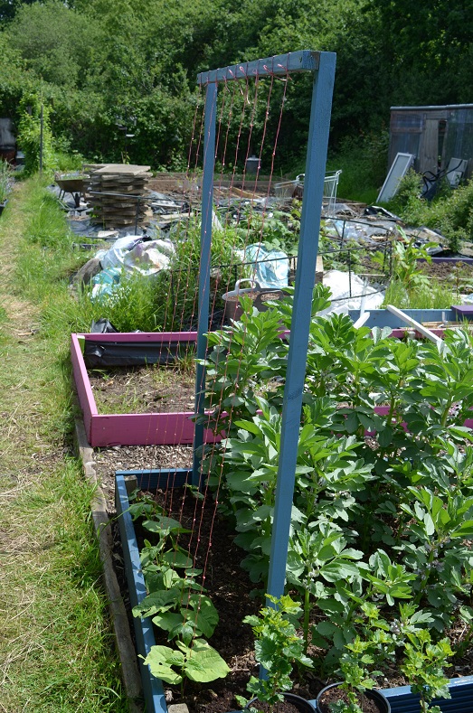 Munty, munty, munty… – mudandgluts