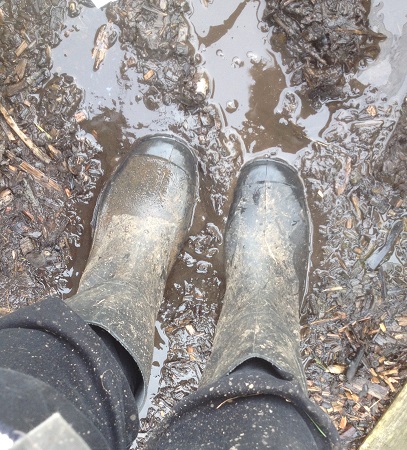 Squelch – mudandgluts